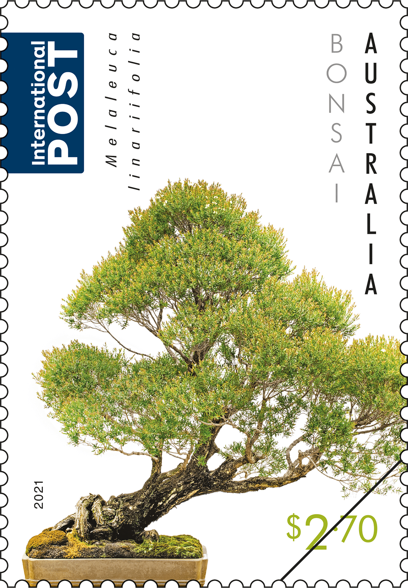 Australian Native Bonsai - Australia Post