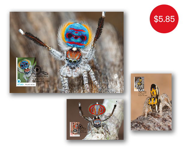Peacock Spiders - Australia Post