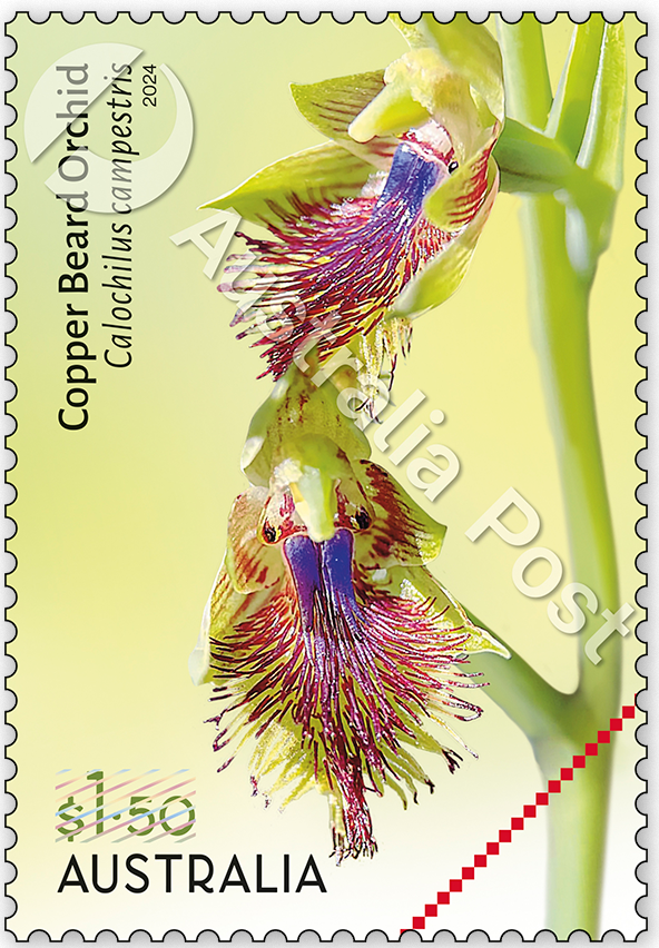 Native Orchids - Australia Post